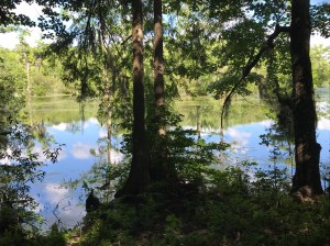 Janet's Writing Blog – I write southern historical fiction and local ...