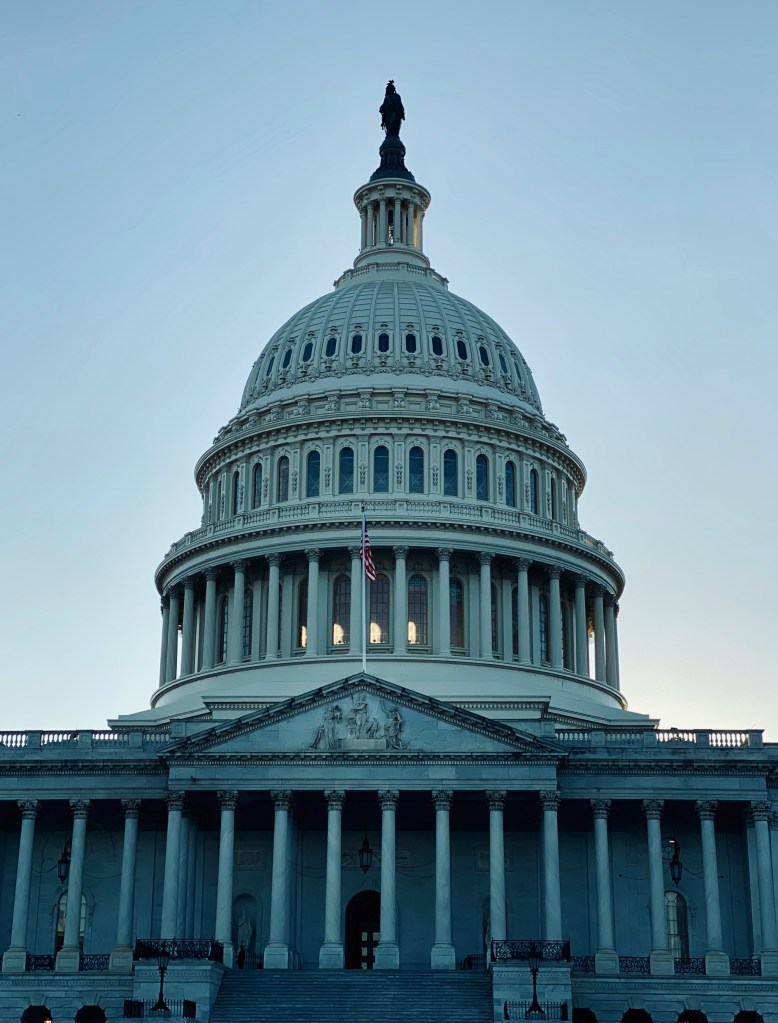 Why doesn’t the US Congress do something about Trump? – Janet's Writing ...
